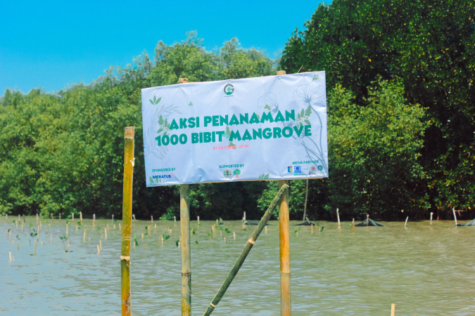 Meratus - Preserve Indonesia's Forests: Meratus Supports Planting 1000 ...