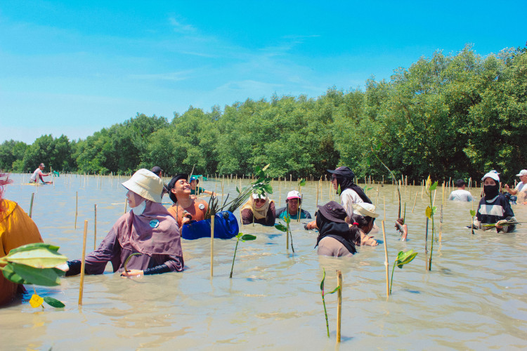 Meratus - Preserve Indonesia's Forests: Meratus Supports Planting 1000 ...